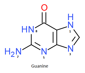 Guanine has 5 nitrogens. Arrange the indicated nitrogen's in decreasing ...