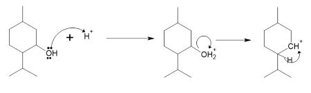The compound shown is menthol, a naturally-occurring alcohol found in ...
