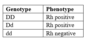 What blood type(s) can a child born to a mother with B- blood type and ...
