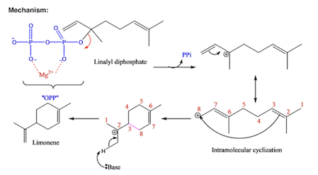 Review the mechanism of geraniol biosynthesis, and propose a mechanism ...