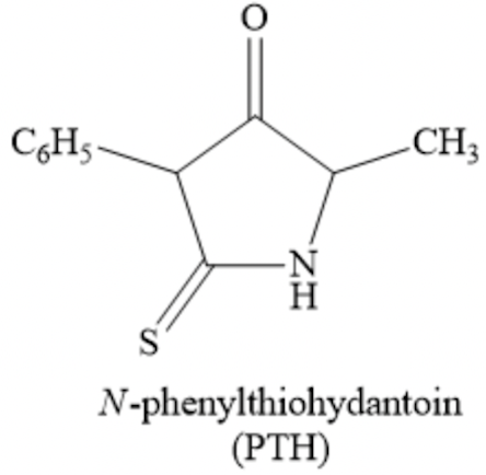 Draw the structure of the N-phenylthiohydantoin formed by the initial ...