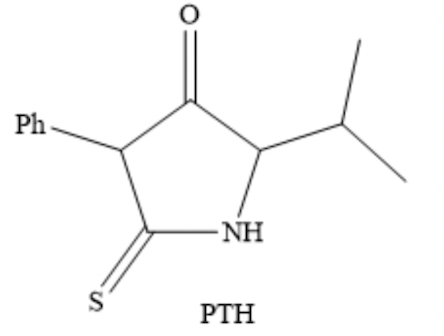 Draw the structure of the N-phenylthiohydantoin formed by the initial ...