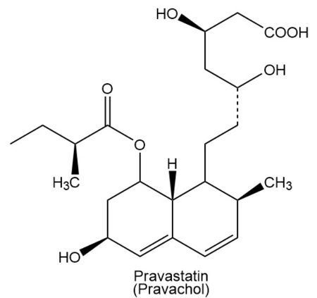 The statin drugs, such as simvastatin (Zocor), pravastatin (Pravachol ...