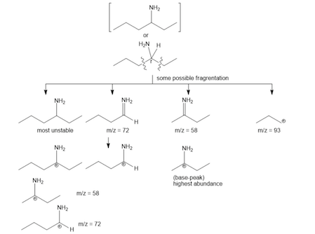 Propose structures for the two fragments of highest abundance in the ...