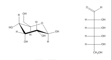 Change the following cyclic monosaccharide to its acyclic form ...