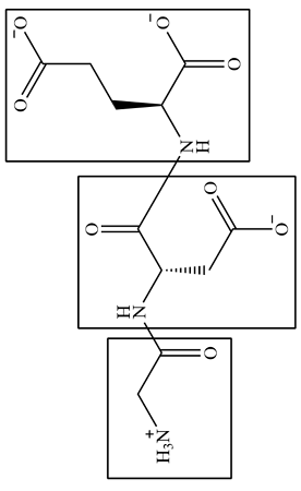 Name the given peptide using both the three-letter and one-letter ...