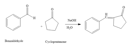Draw the primary product formed in the following reaction. | Homework ...