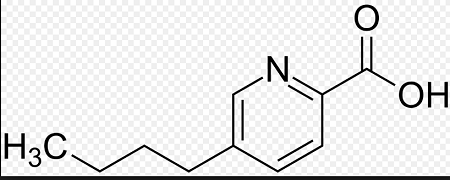 Provide a structure for the following compound: C_10H_13NO_2 ...