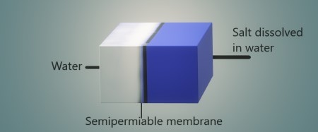 Use the diagram below to indicate what would happen during the process ...