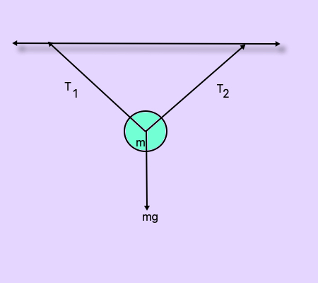 How Newton's Laws apply to this situation: a mass suspended from two ...