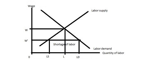 Use the supply and demand analysis, discuss the impact of worker ...