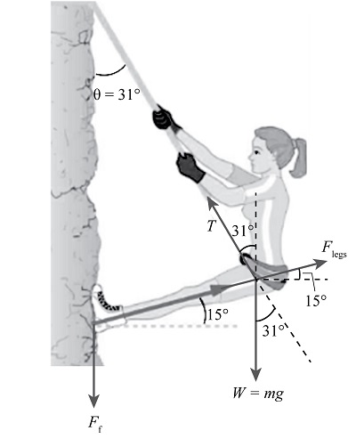 Consider the 52.0-kg mountain climber in the given figure. What is the ...