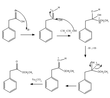Give the complete specific mechanism for the formation of one of your ...