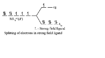 1. In the complex ion [ML6]^n+, M^n+ has seven d electrons and L is a ...