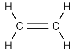 Which statement about ethylene and polyethylene is true? a. The polymer ...