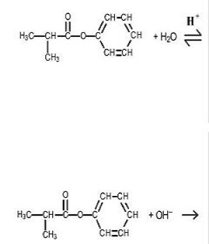 Ester Bond Polarity Arrows