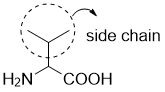 Which of the following terms best describes the side chain of valine ...