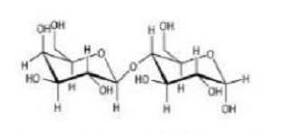 Form the structural name for the following disaccharide by dragging the ...