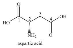 Consider the structure of aspartic acid. Indicate the hybridization ...