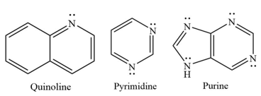 What orbitals contain the electrons represented as lone pairs in the ...