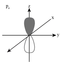 Which of the following orbitals will have a node in the xz-plane ...