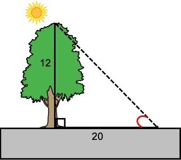 In the given diagram, what angle does the sun form on the sidewalk ...