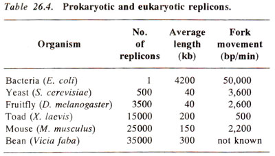 What is the number of replicons, in a typical mammlian cell? | Homework ...