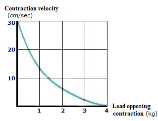 The figure below shows the contraction velocity of a muscle as a ...
