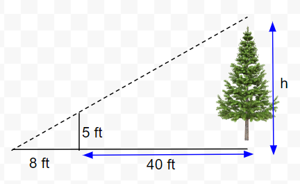 Find the missing length h. Explain how you know the figures are similar ...