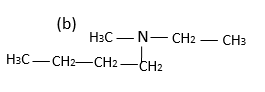 Write the systematic (IUPAC) names for the amines shown below. The name ...