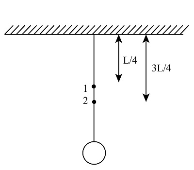 A rod of length L is pivoted at one end and is rotated with a uniform ...