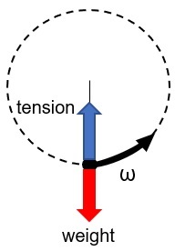 You swing a rock tied to a string in a vertical circle. Determine the ...