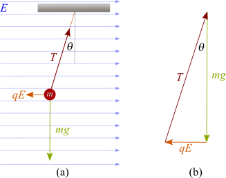 A negatively charged pith ball (mass 0.09 g, a charge of -3.5 nC) is ...