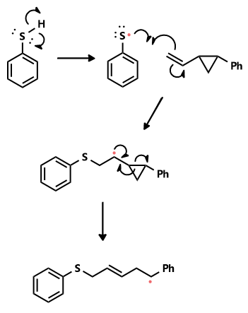In the second step of the radical addition of thiophenol to ...