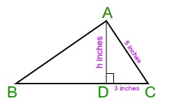 How to find the height of a triangle without area | Homework.Study.com