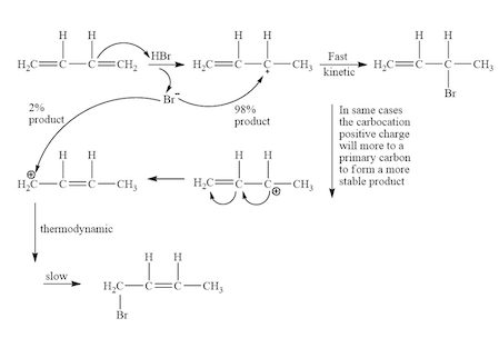 The 1,2 adduct and the 1,4 adduct formed by the reaction of HBr with 1 ...