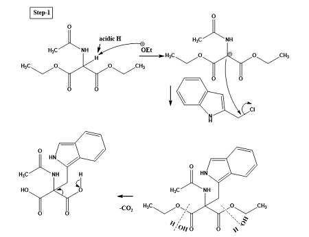 Show how to use the acetamidomalonate method to prepare the following ...