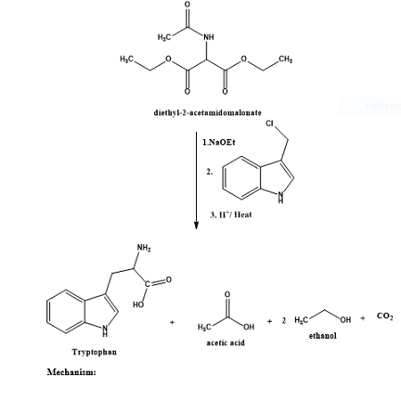 What alkyl halides would you use to prepare the following alpha-amino ...
