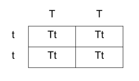 In humans, the ability to taste the bitter chemical PTC is inherited ...