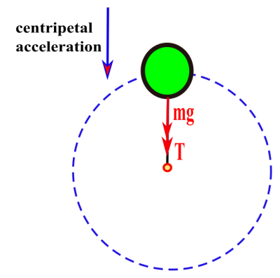 A 60 kg ball is tied to the end of a 50 cm long massless string and ...