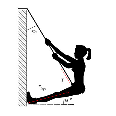 Consider the 52.0 \ kg mountain climber in the figure below. Find: a ...