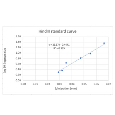 Estimate the size of insert (bp) and based on the estimated size of the ...
