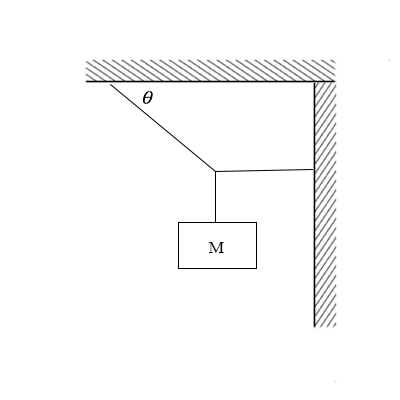 Find the tension in the two cords shown in the figure. Neglect the mass ...
