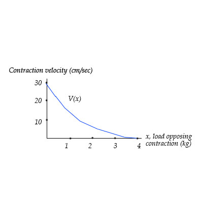 The figure below shows how the contraction velocity, V(x), of a muscle ...