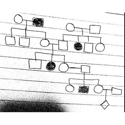 How do you find the genotypes on a pedigree? | Homework.Study.com