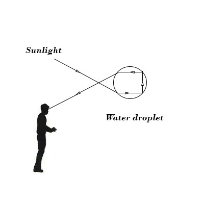 On rare occasions, it is possible to observe "double rainbow". (The ...