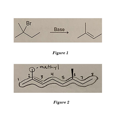 a. What is the most precise name for the process below (Figure 1)? i ...