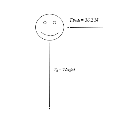 Newton's 2nd Law stipulates that the sum of all forces acting on an ...