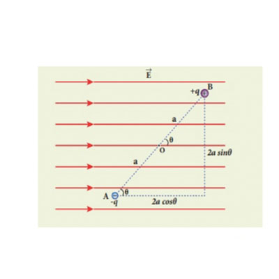 The dipole is placed in an electric field, as shown. a. Draw the ...