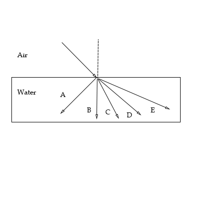 Light can travel from air into water. Some possible paths for the light ...